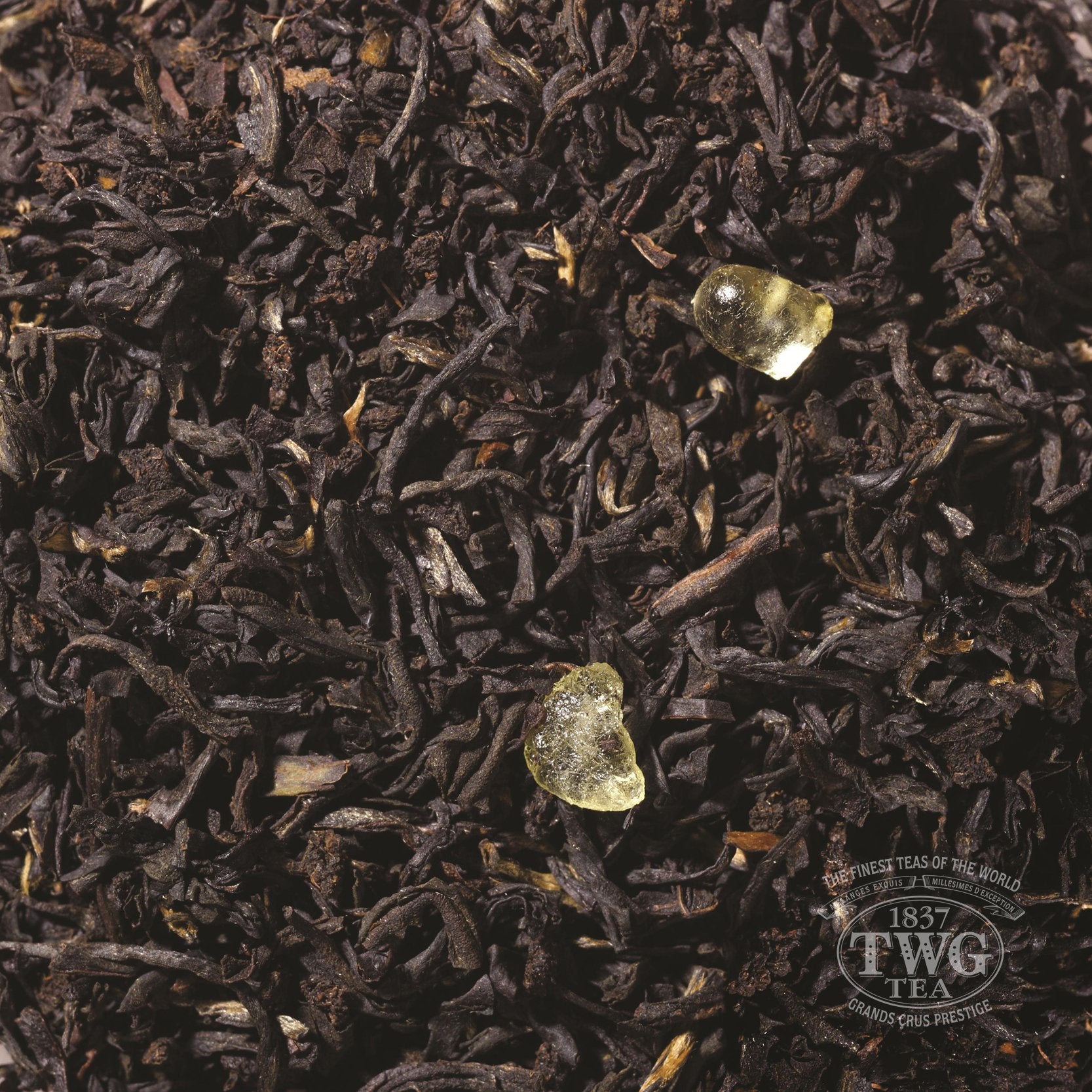 TWG Tea Loose Leaf Tea Oud Night Tea – The Wellness Store